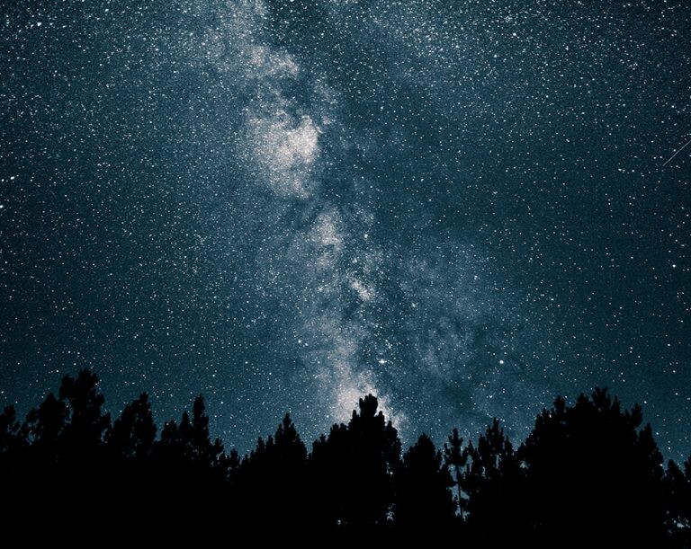 Teoría Del Bosque Oscuro Si Haces Ruido Delatas Tu Posición
