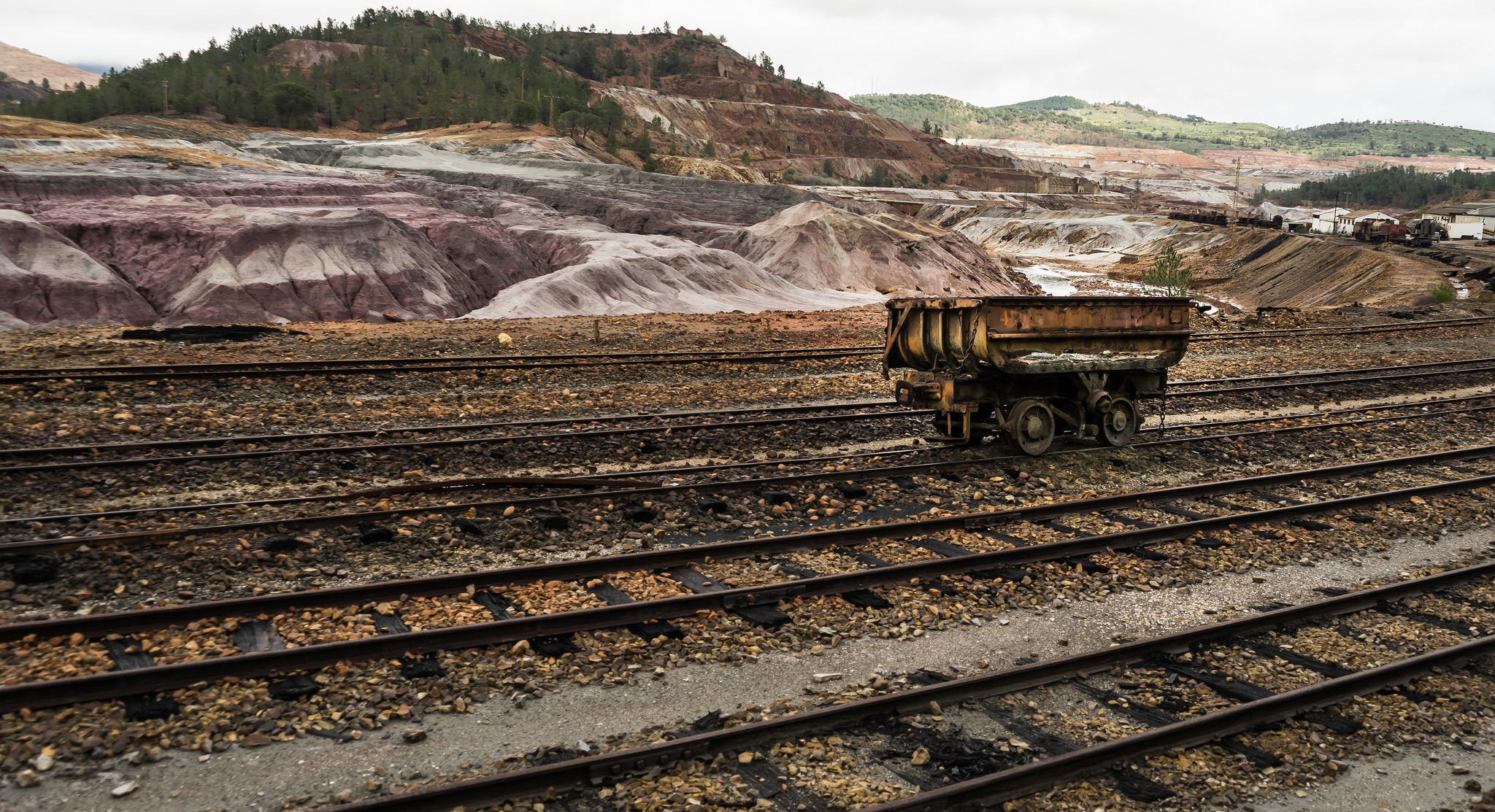 ¿Qué tiene que ver una vaca con la carrera espacial?