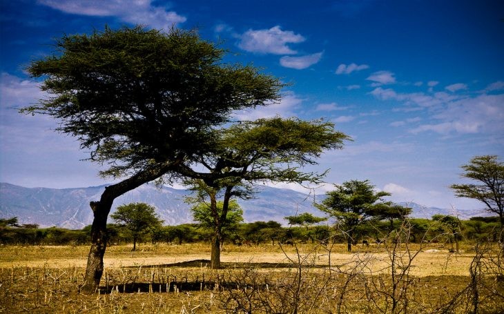 La lluvia que no vuelve África verde