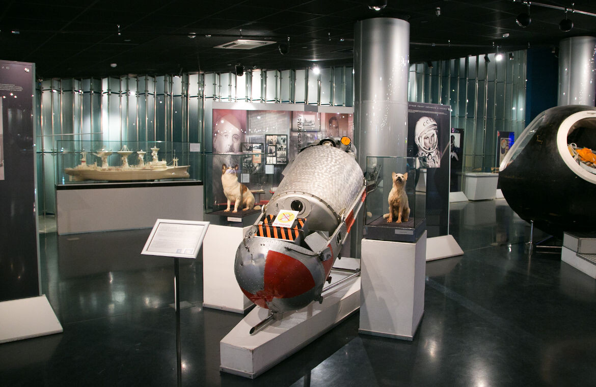 65 años de Laika en el espacio. ¿Hay otros animales astronautas?