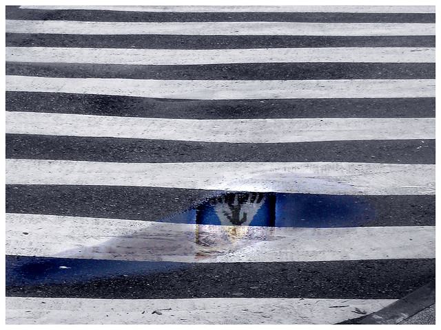 ¿Cómo hacer los pasos de peatones más atractivos y seguros? - Circula ...