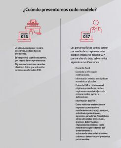 Modelo 036 y 037: qué son, para qué sirven y diferencias